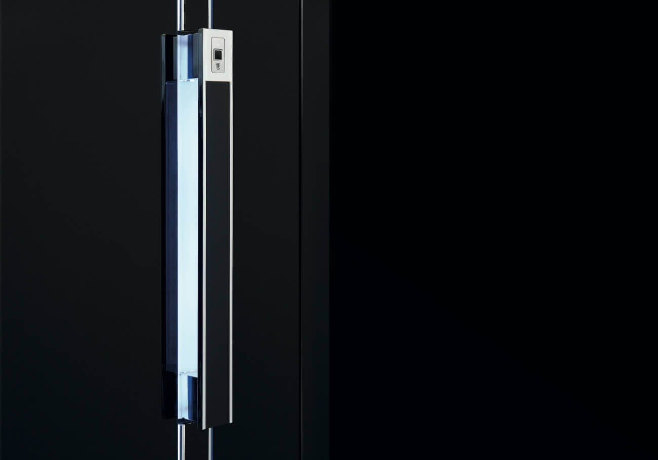 Usi de lux pentru exterior cu design uimitor, la comanda | Pirnar.ro