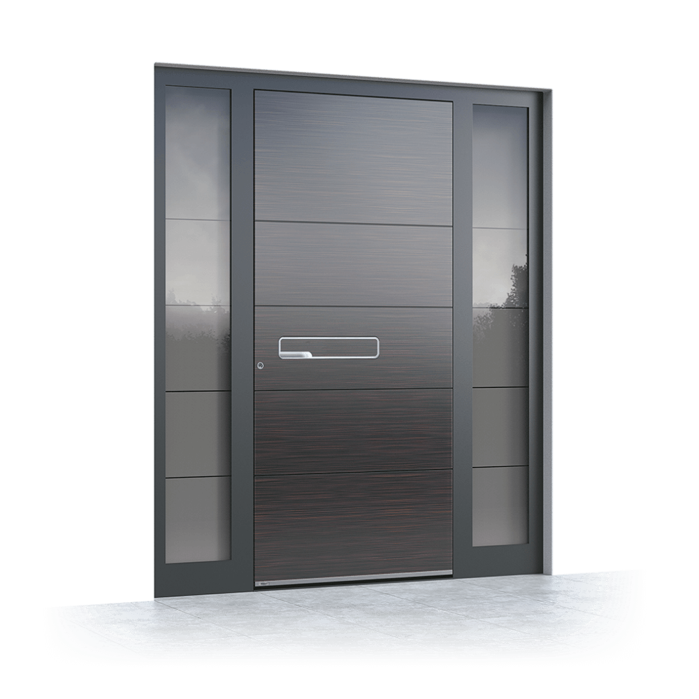 Usa de intrare din sticla » decoruri elegante usa de intrare | PIRNAR