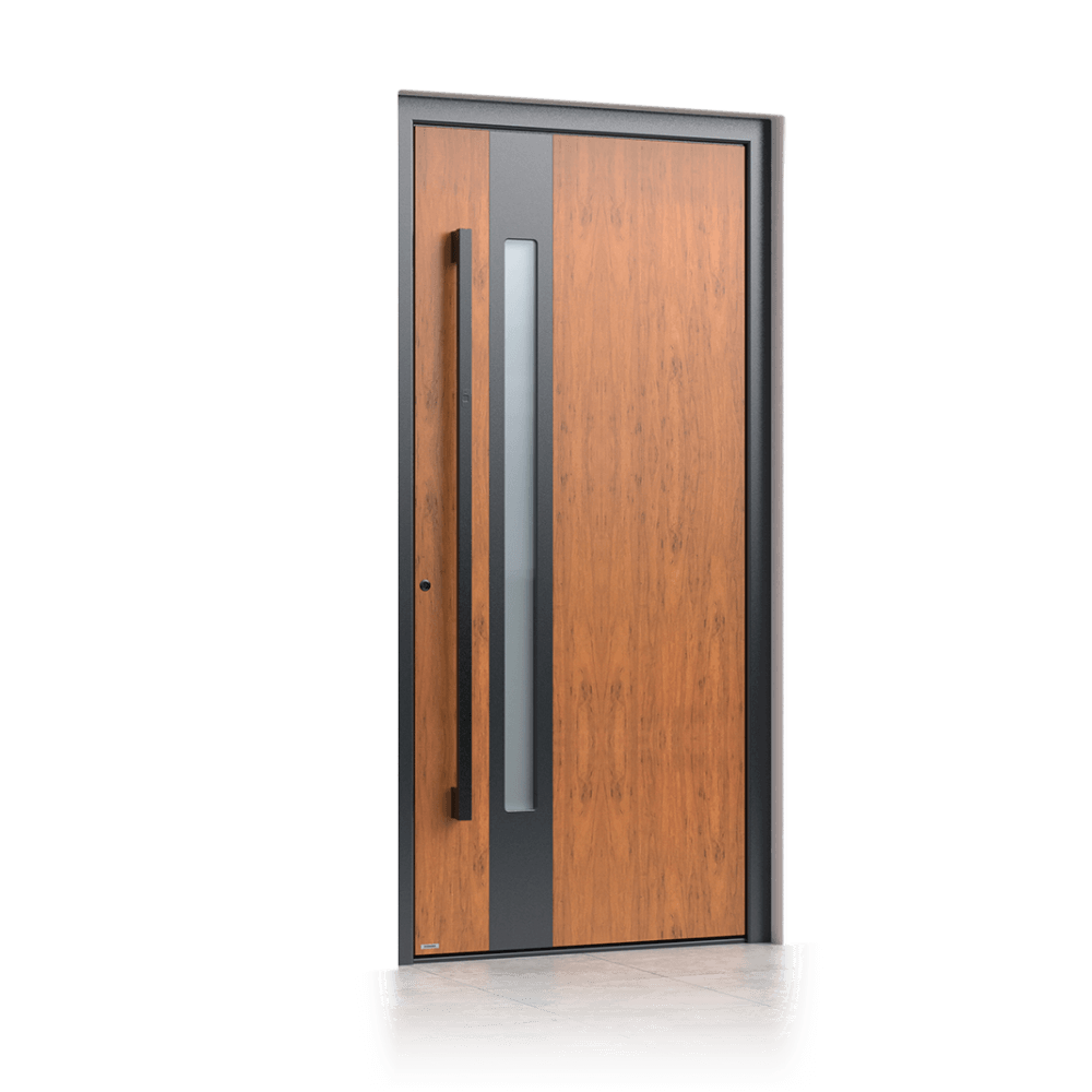 Usi exterior (intrare) moderne cu design uimitor, la comanda | Pirnar