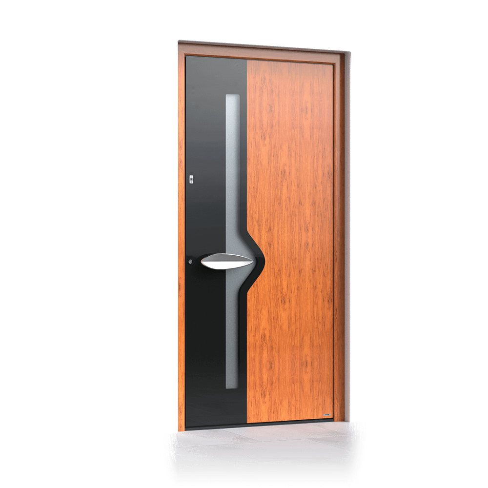 Usi exterior (intrare) moderne cu design uimitor, la comanda | Pirnar