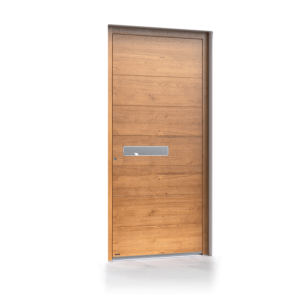 Usi exterior (intrare) moderne cu design uimitor, la comanda | Pirnar