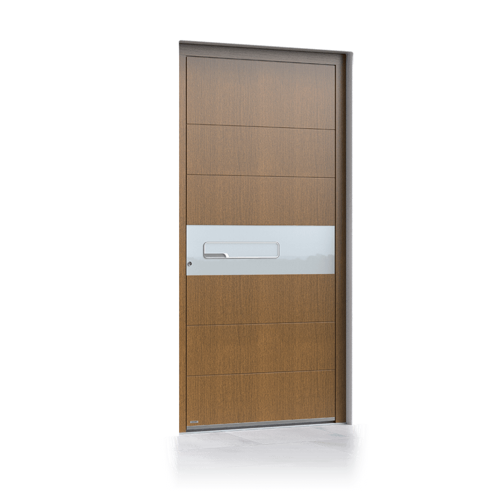 Usi exterior (intrare) moderne cu design uimitor, la comanda | Pirnar